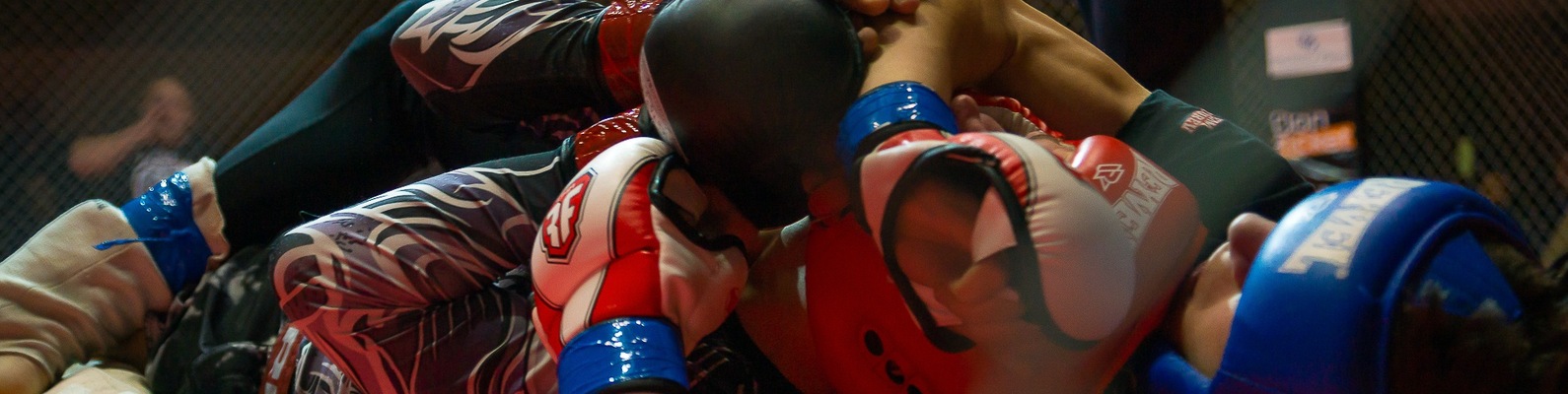 Fight Masters Pankration 2020 OPEN | ПОЛОЖЕНИЕ о проведении Открытого ...